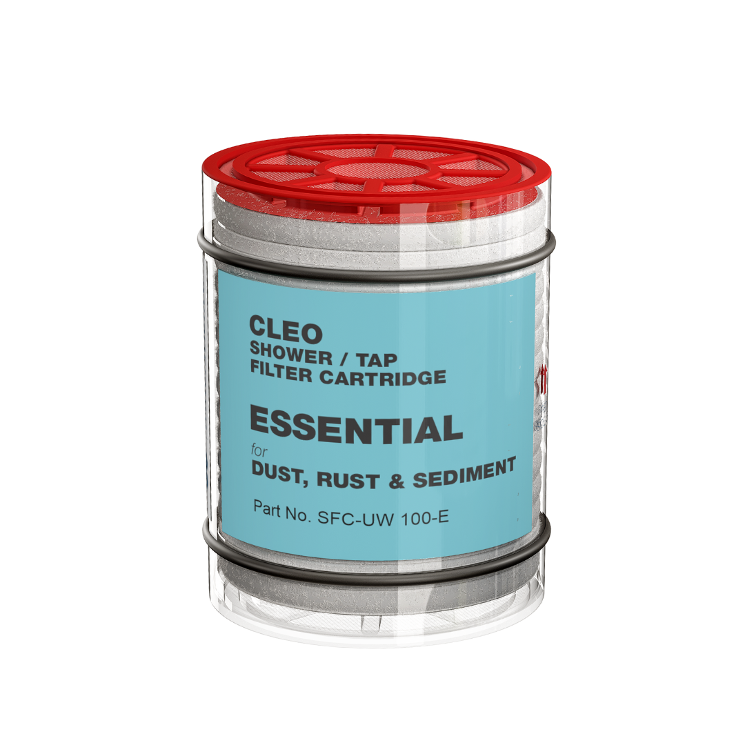 Essential Cartridge - Pack of 2 | Dust, Rust and Sediment Filter ...