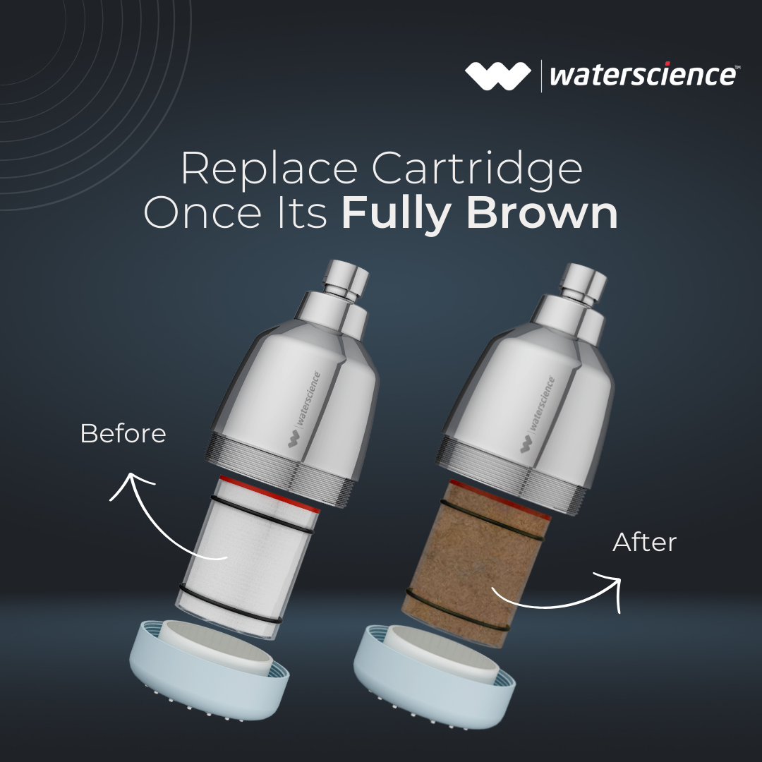 Essential Cartridge - Pack of 2 | Dust, Rust and Sediment Filter ...